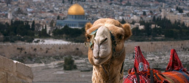 Aish UK | Jewish Charity UK