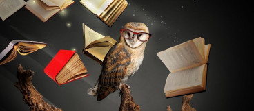 Aish UK | Jewish Charity UK